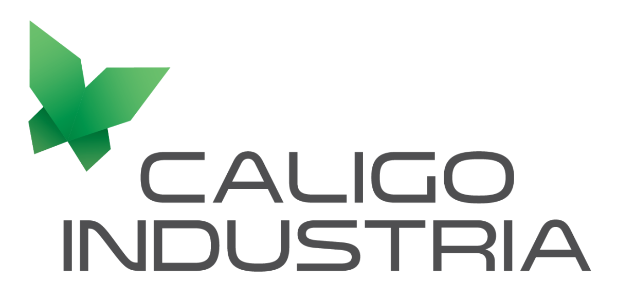 Caligo Industria – Savukaasupesurit | Puhtautta ja energiatehokkuutta